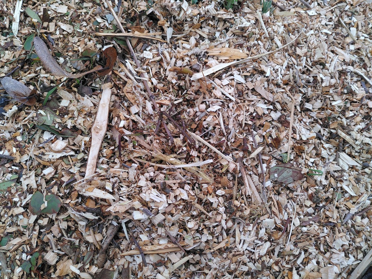 E se in inverno nell’orto non si fa una cippa, si fa il cippato ...